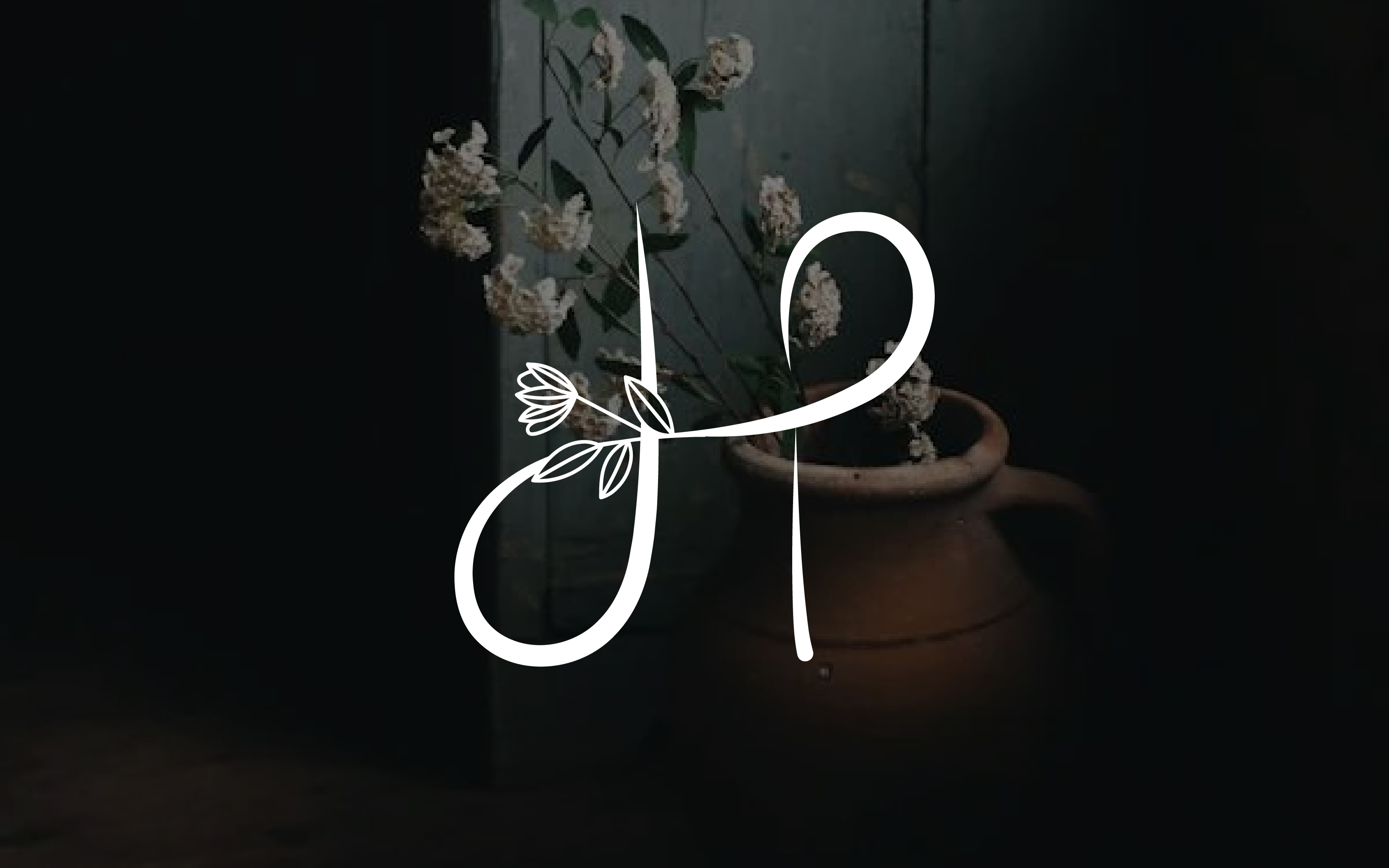 Hayley Rabushka Studio – Texture in Bloom